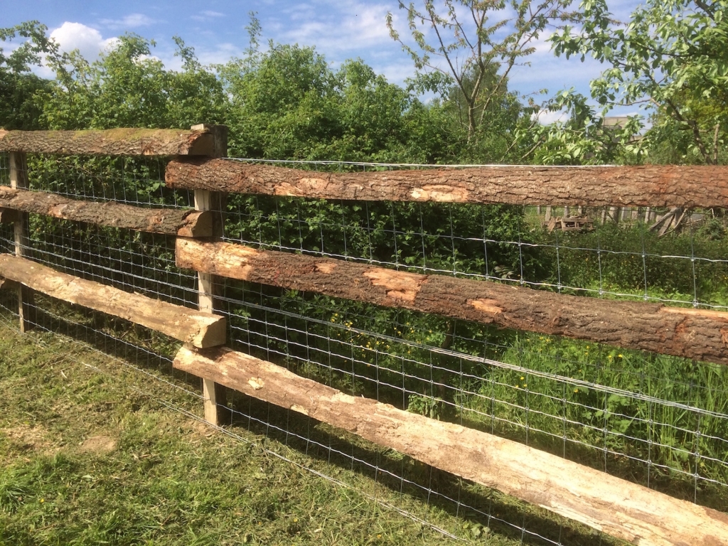 Galerie - Drenker Garten- und Landschaftsbau